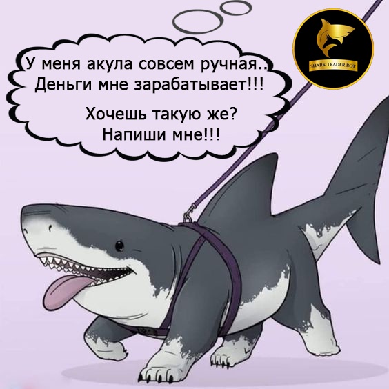 Что такое Shark Trader Bot